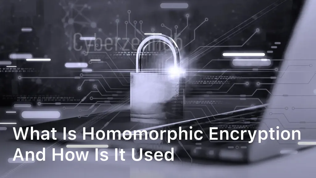 What Is Homomorphic Encryption and How Is It Used